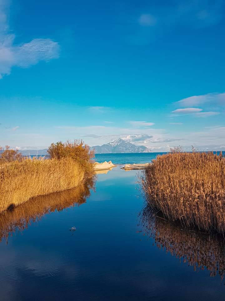 Beach - Apartment Hotel Sithon