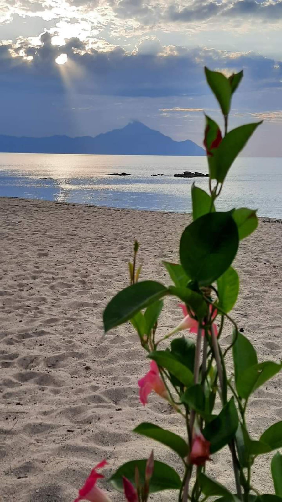 Beach - Apartment Hotel Sithon